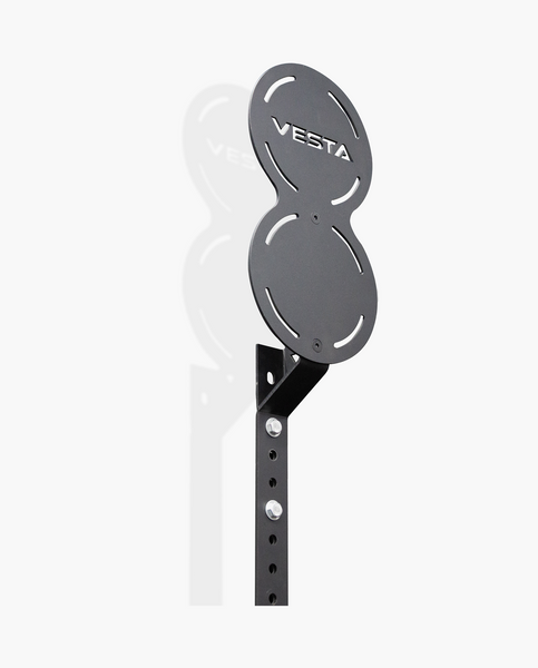 Double Wall Ball Target – Vesta Fitness Store